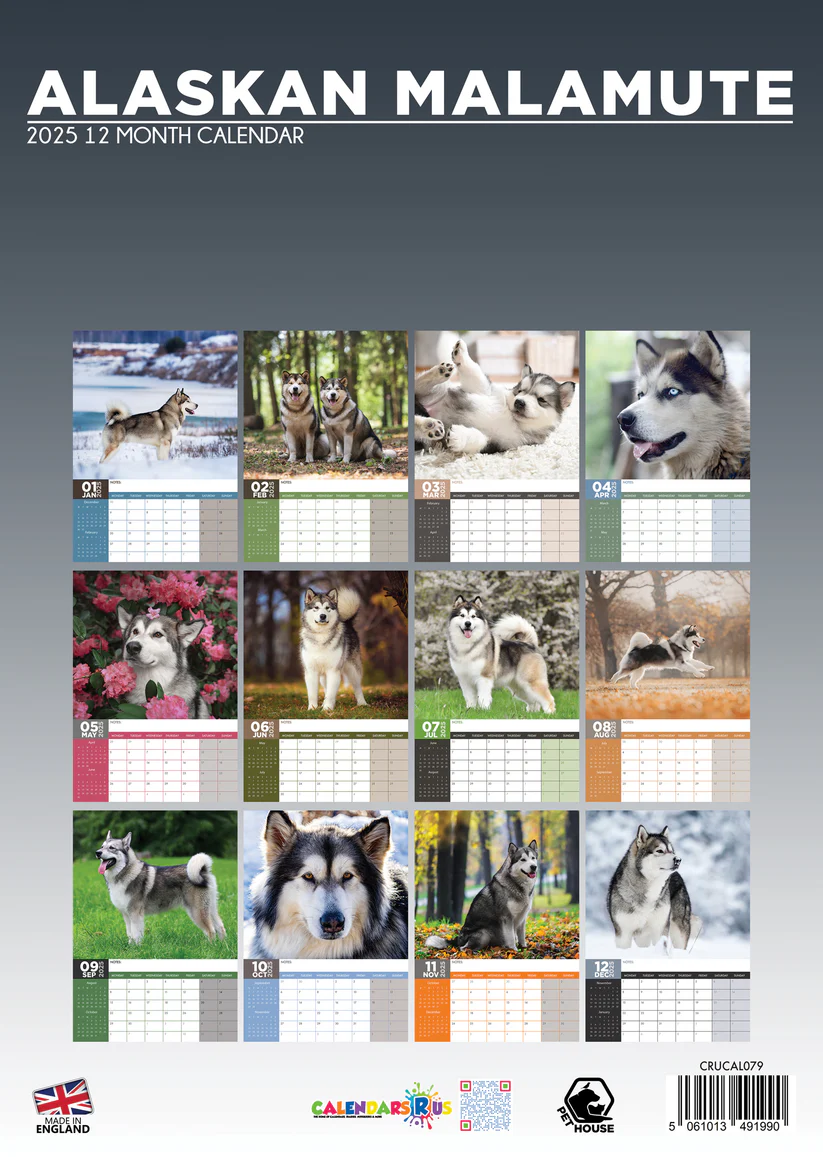 Buy Alaskan Malamute A3 Calendar 2025? Order simple and fast ...