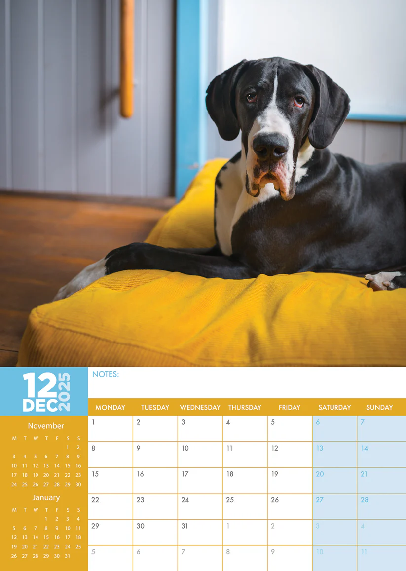 Great Dane A3 Calendar 2025 Buy? Order online quickly and easily ...