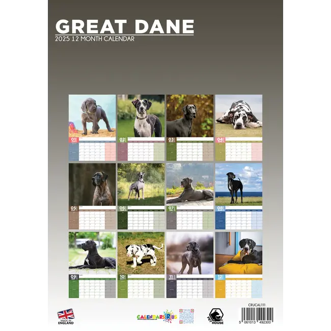 Great Dane A3 Calendar 2025 Buy? Order online quickly and easily ...