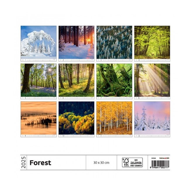 Buy Forest Calendar 2025? - Quick and easy online - Kalenderwinkel.nl