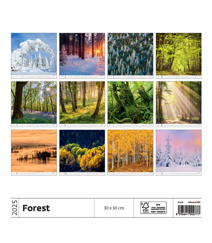 Buy Forest Calendar 2025? - Quick and easy online - Kalenderwinkel.nl
