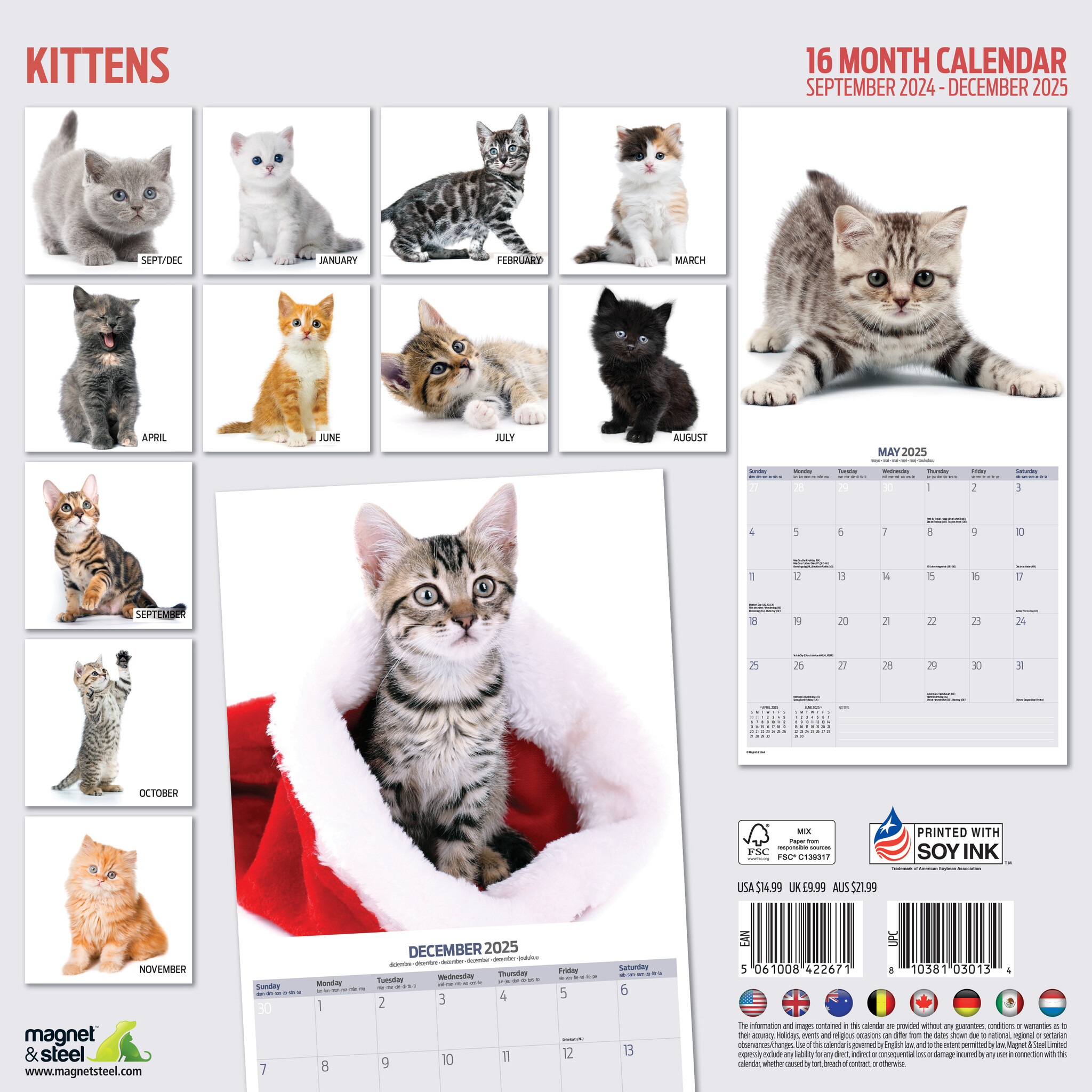 Buying Kittens Calendar 2025 | simply order online - Kalenderwinkel.nl