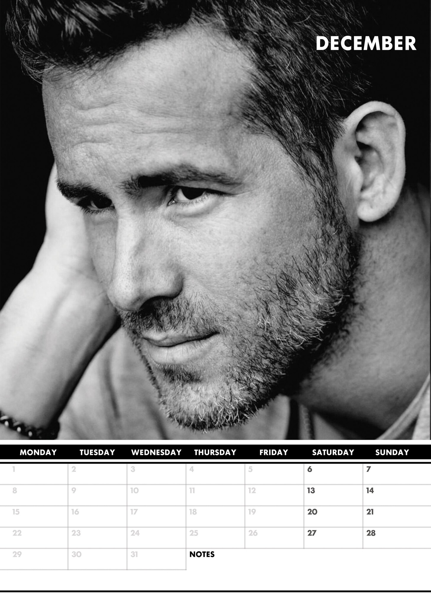 Ryan Reynolds Calendar 2025? Order easily and quickly Online ...
