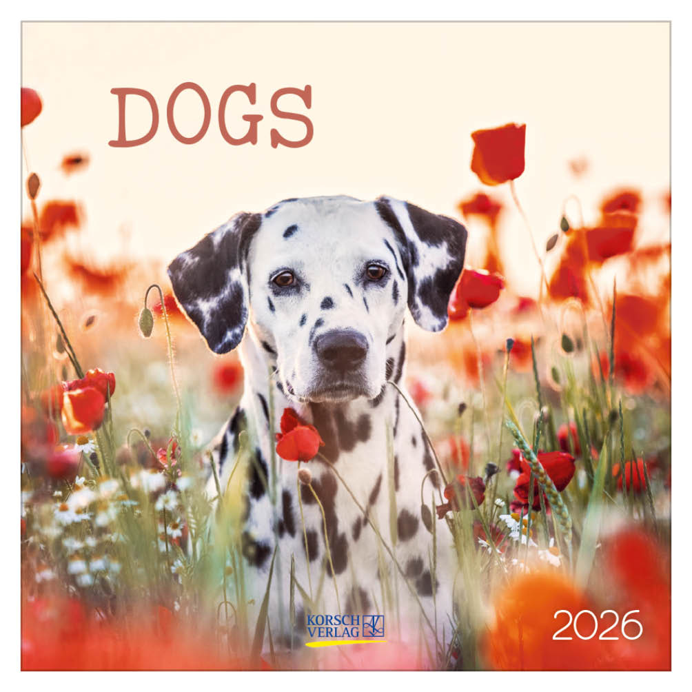 Achat Calendrier Chiens 2026 | commander en ligne - Kalenderwinkel.nl