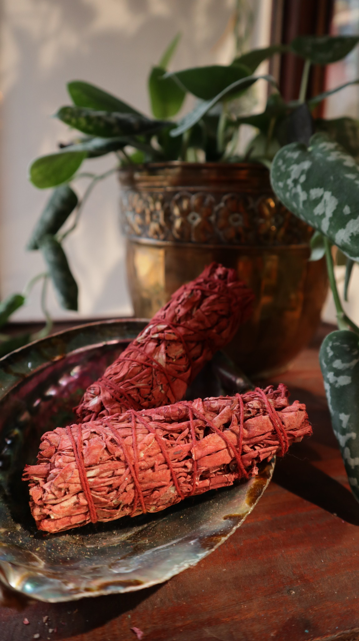 Sage Smudge - Dragons Blood - BLACKFISH Brand New & Vintage