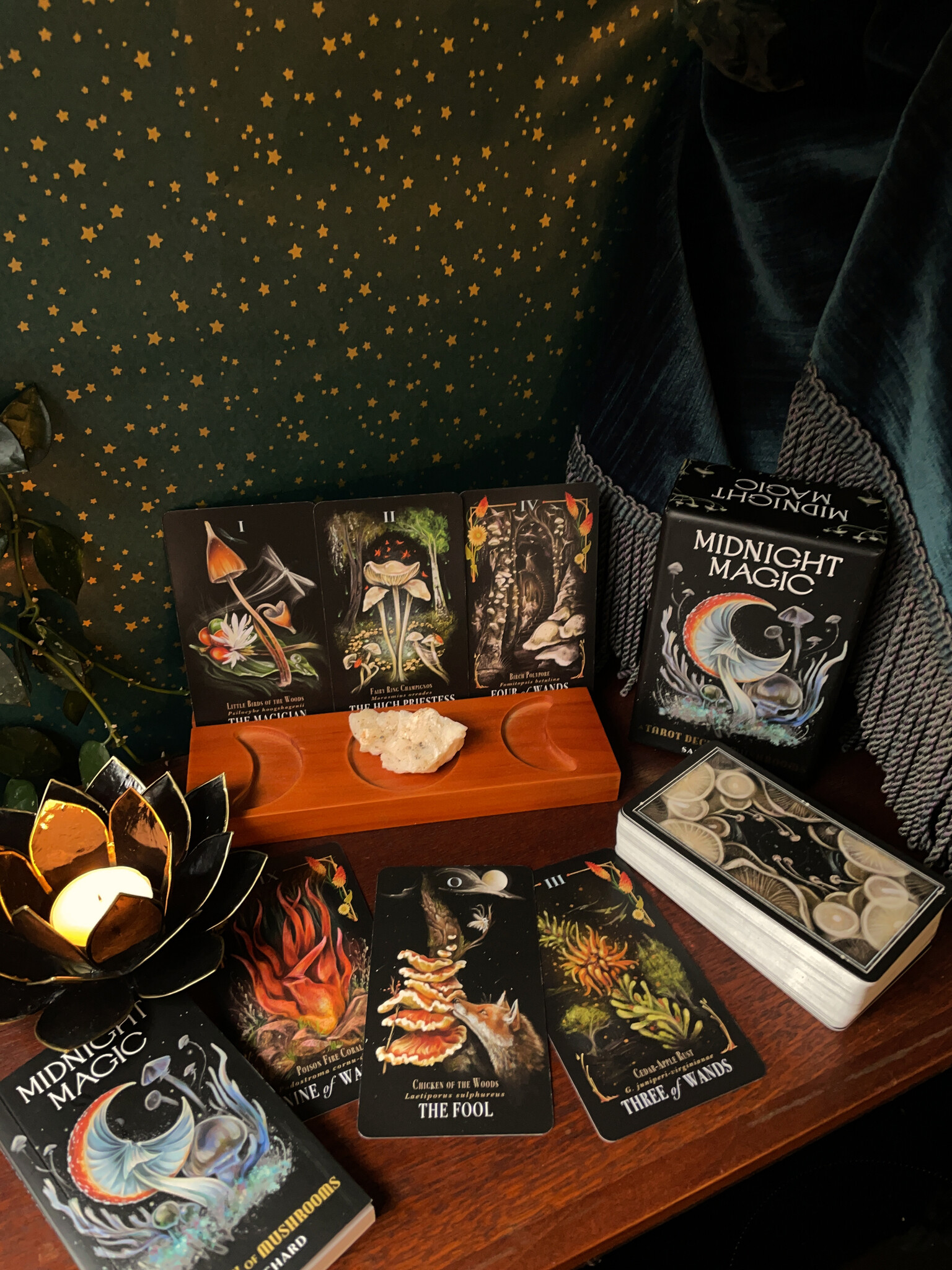 Midnight Magic A Tarot Deck Of Musrooms - BLACKFISH Brand New & Vintage