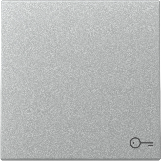 Gira Wippe mit Symbol Tür System 55 aluminium matt - Switch2.de