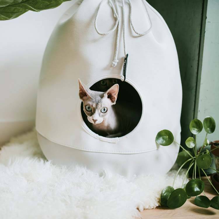 District70 Design Kattenmand Casa Merengue - Petsonline