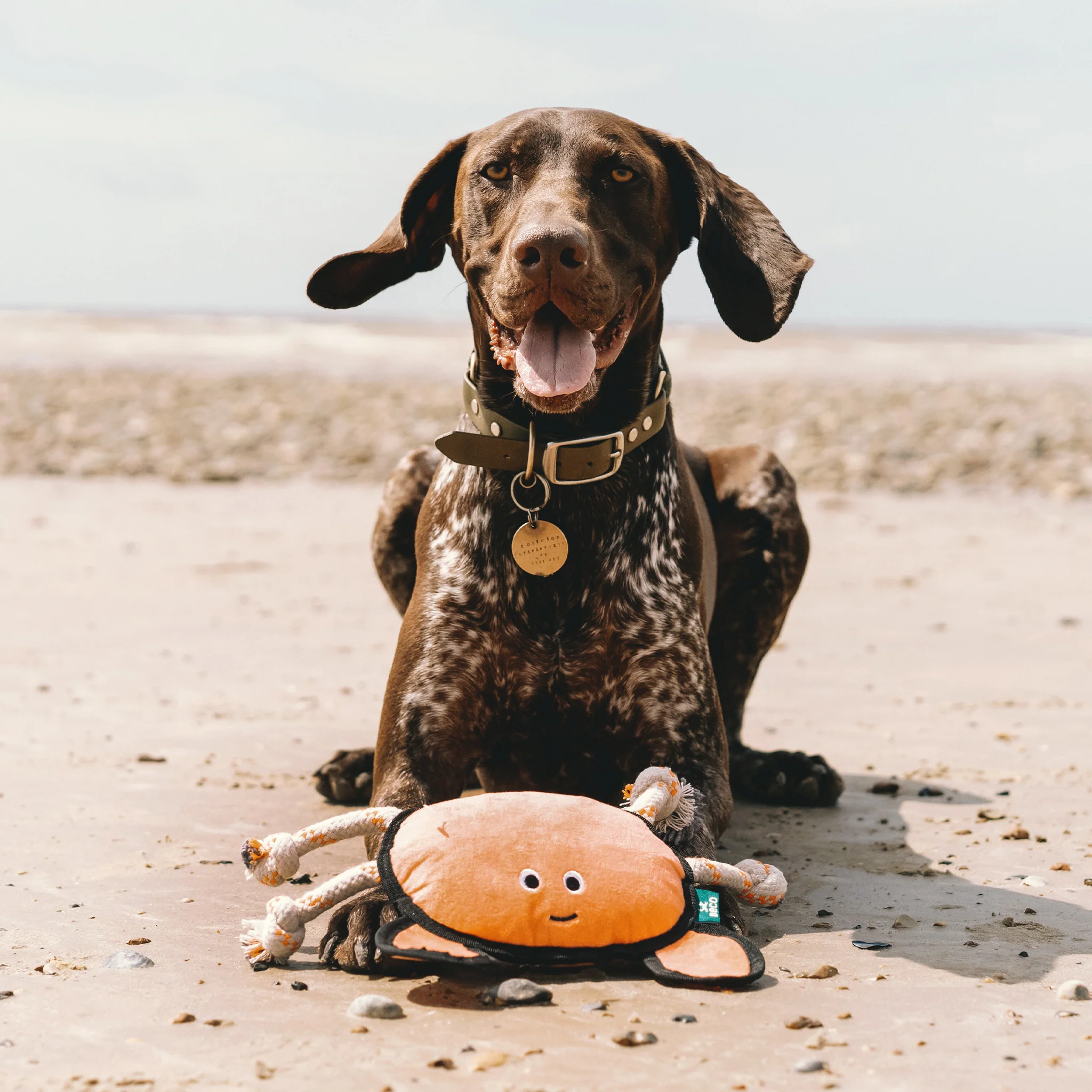 Beco Dog Toy Rough and Tough Crab - Petsonline