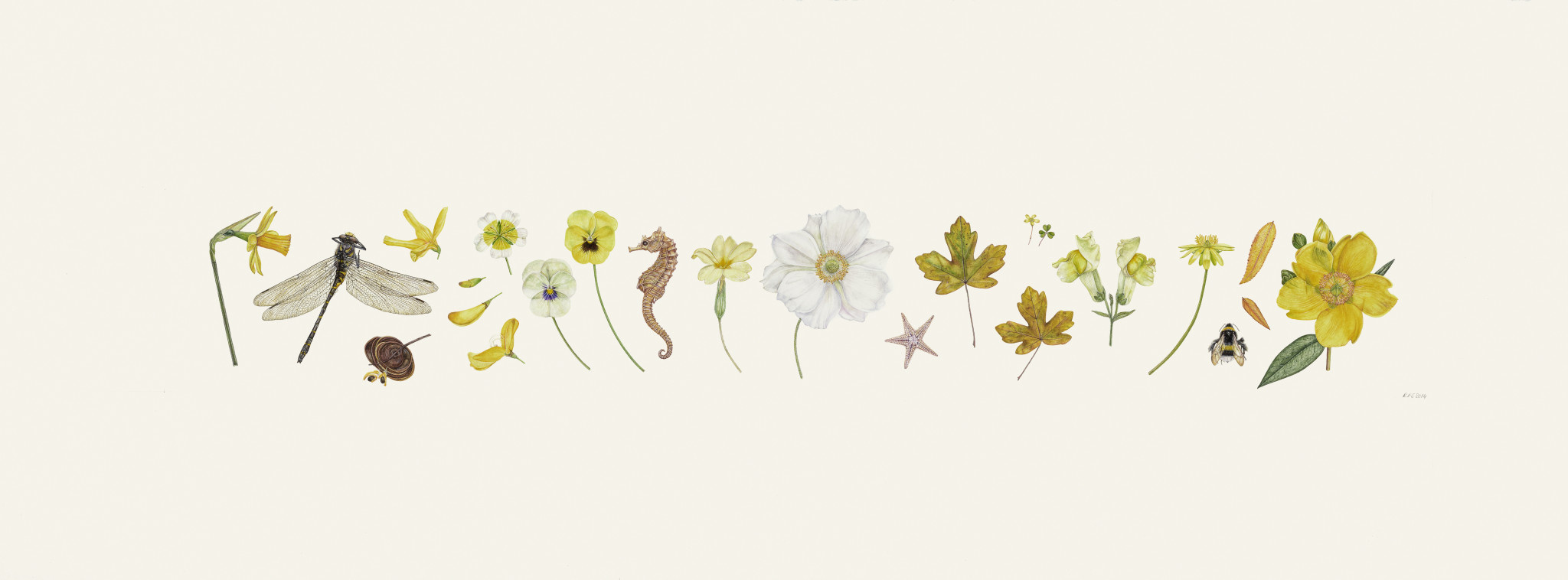 Yellow Flora And Bee Line Print - Edition Of 200 With Mount 016 ...