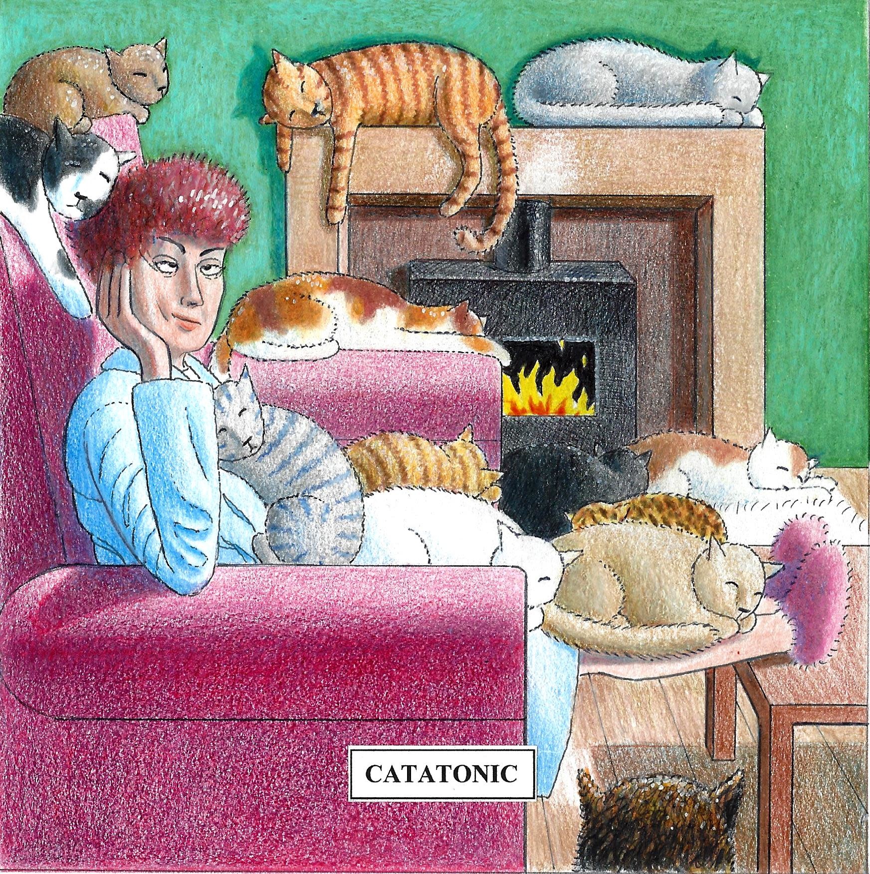 Catatonic Humorous Cat Card 12 - Stationery - Cards - Water Street Gallery