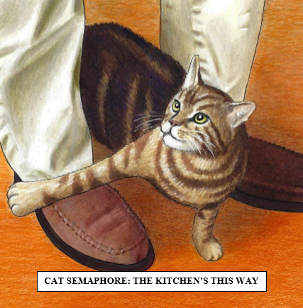 Adrian Keefe Cat Semaphore Humorous Cat card 24 - Water Street Gallery