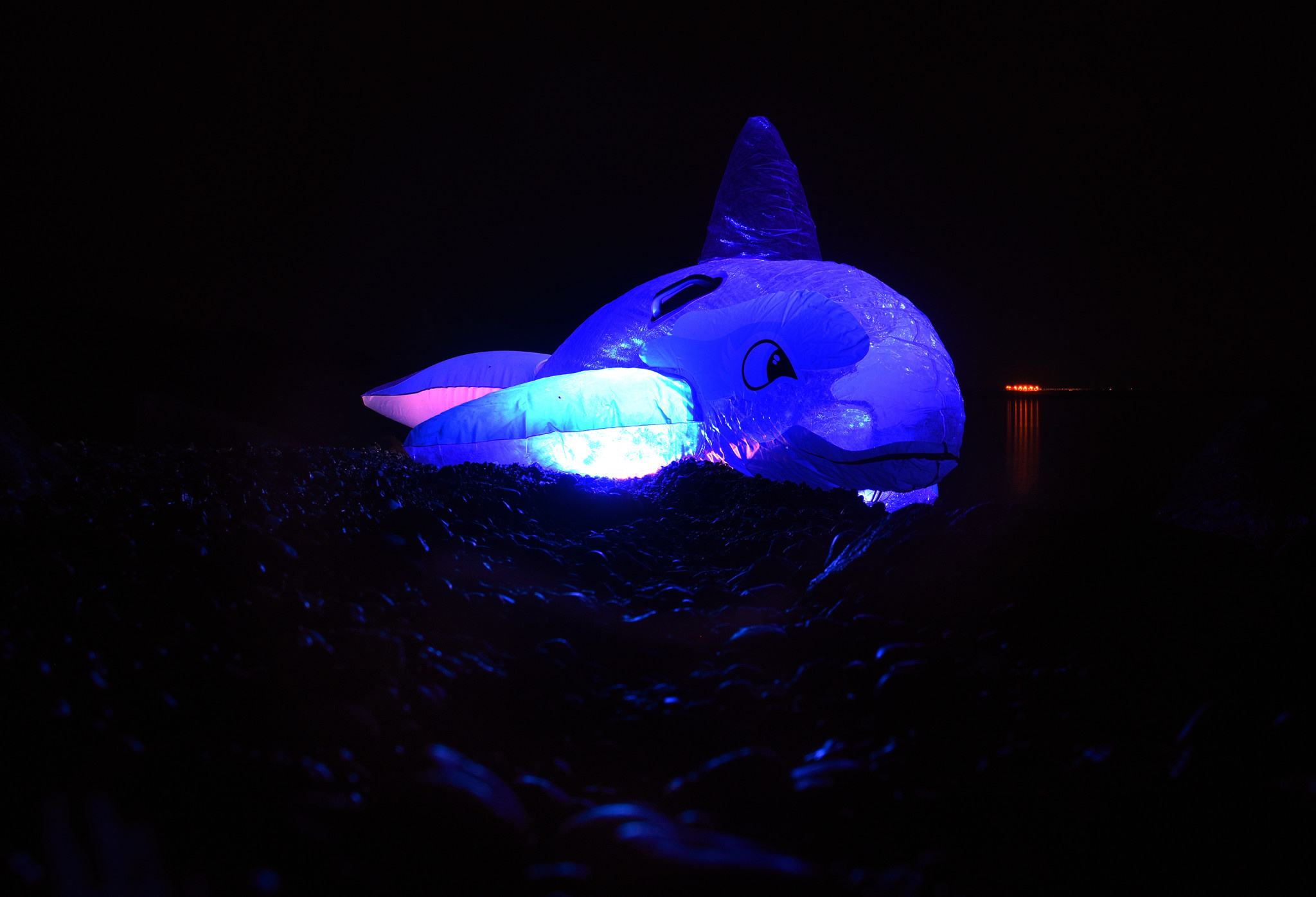 Whale - Inflate-Deflate Series 01 - Water Street Gallery