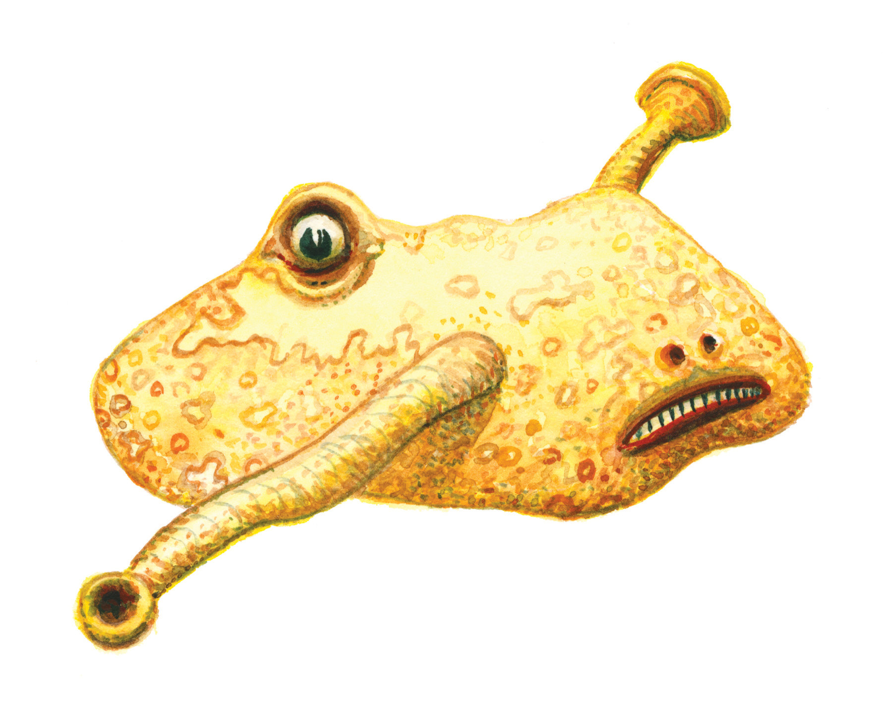 'Creature from The Deep' 64 - Water Street Gallery