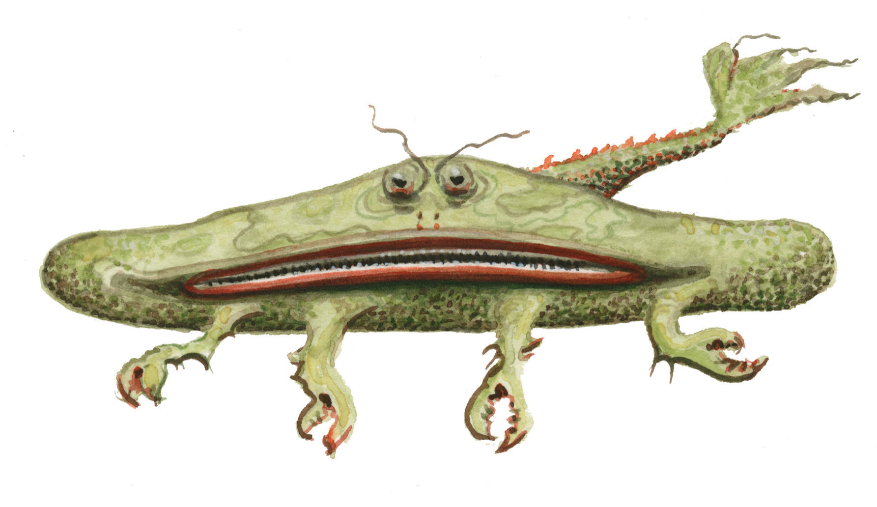 'Green Creature from The Deep' 63 - Water Street Gallery