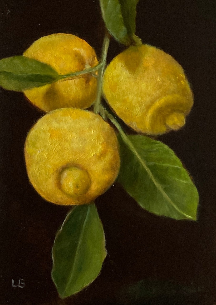 After Cotan (Lemons) - Water Street Gallery