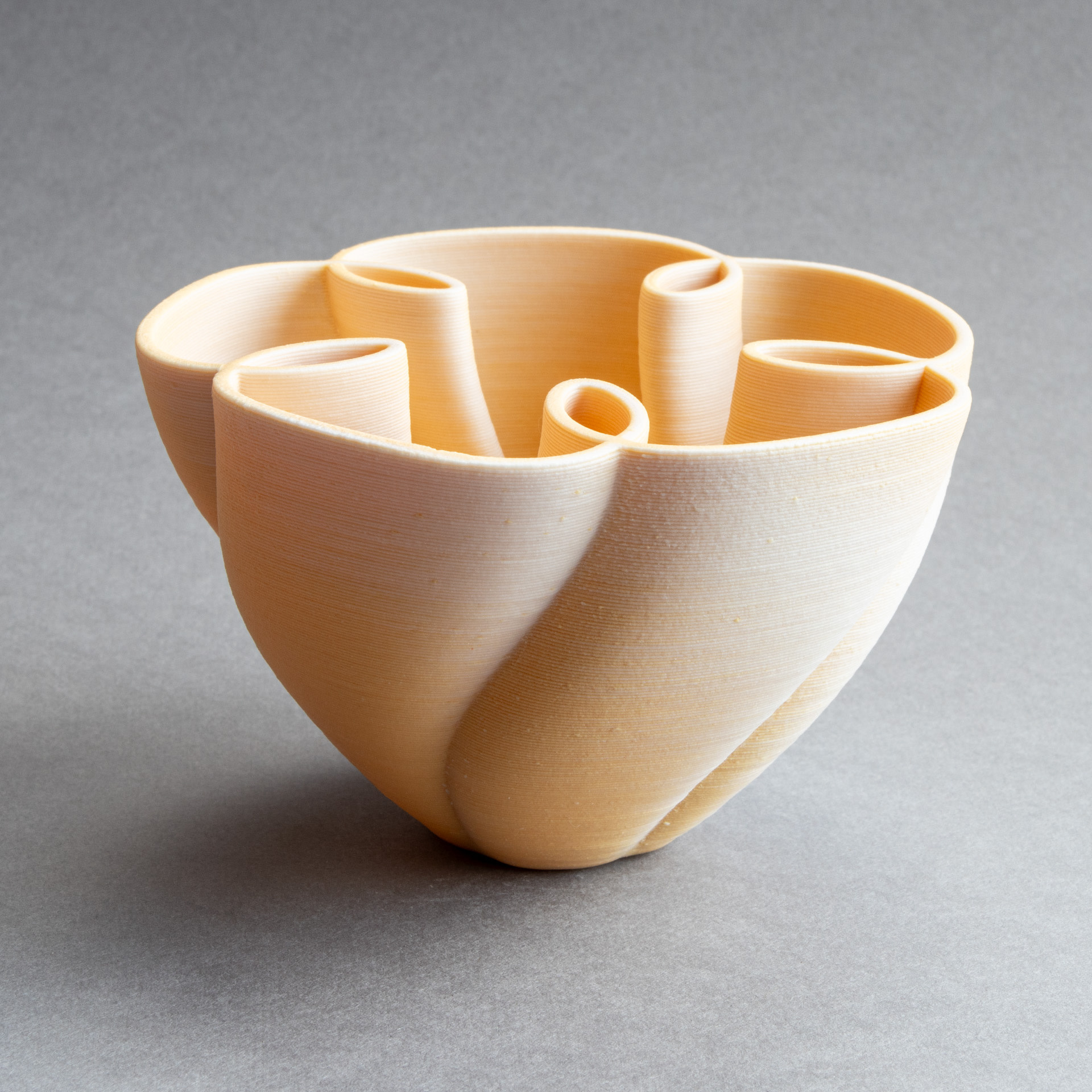 Apple Bowl 10 - Water Street Gallery