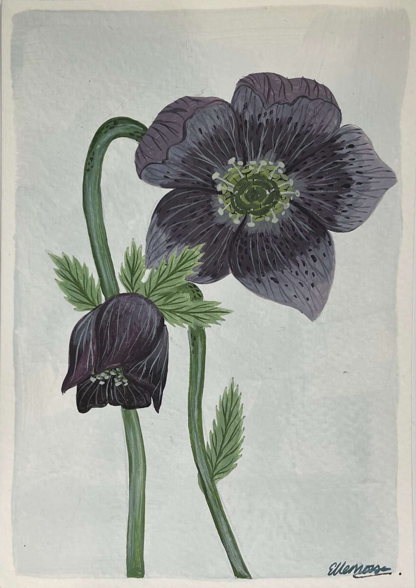 Welcoming Winter 2024 - Water Street Gallery