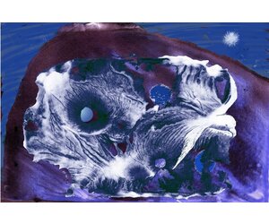 Flight 35 - Water Street Gallery