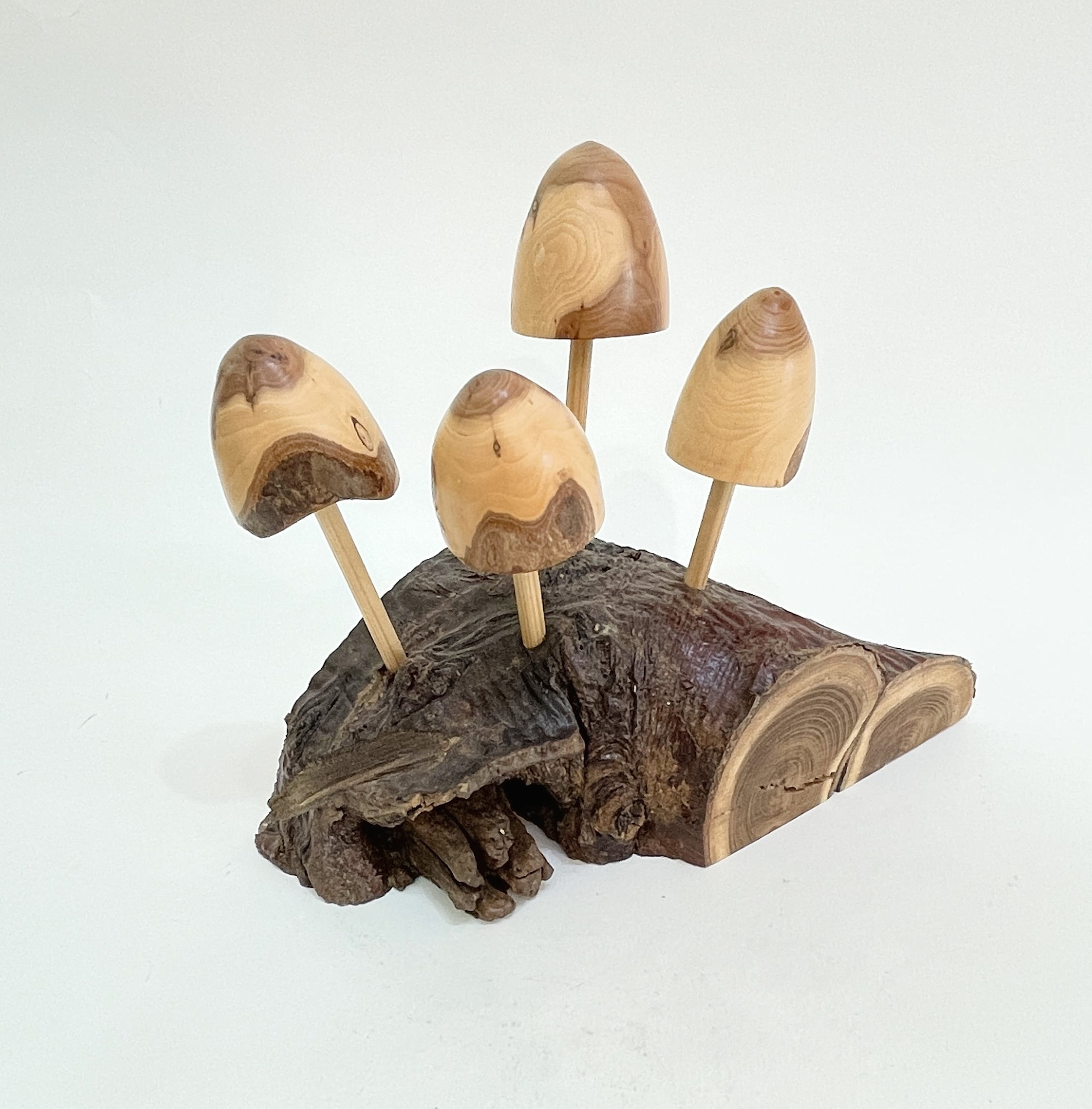 Chris Redfearn Mushrooms Form - Laburnham and Eucalyptus