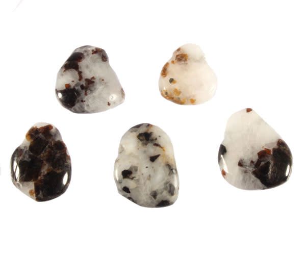 Sideriet in cryoliet hanger doorboord - Spiritual Garden