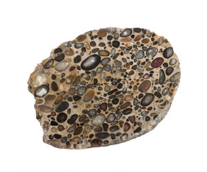 Conglomeraat jaspis half gepolijst 23 x 18 x 13 cm | 5750 gram ...