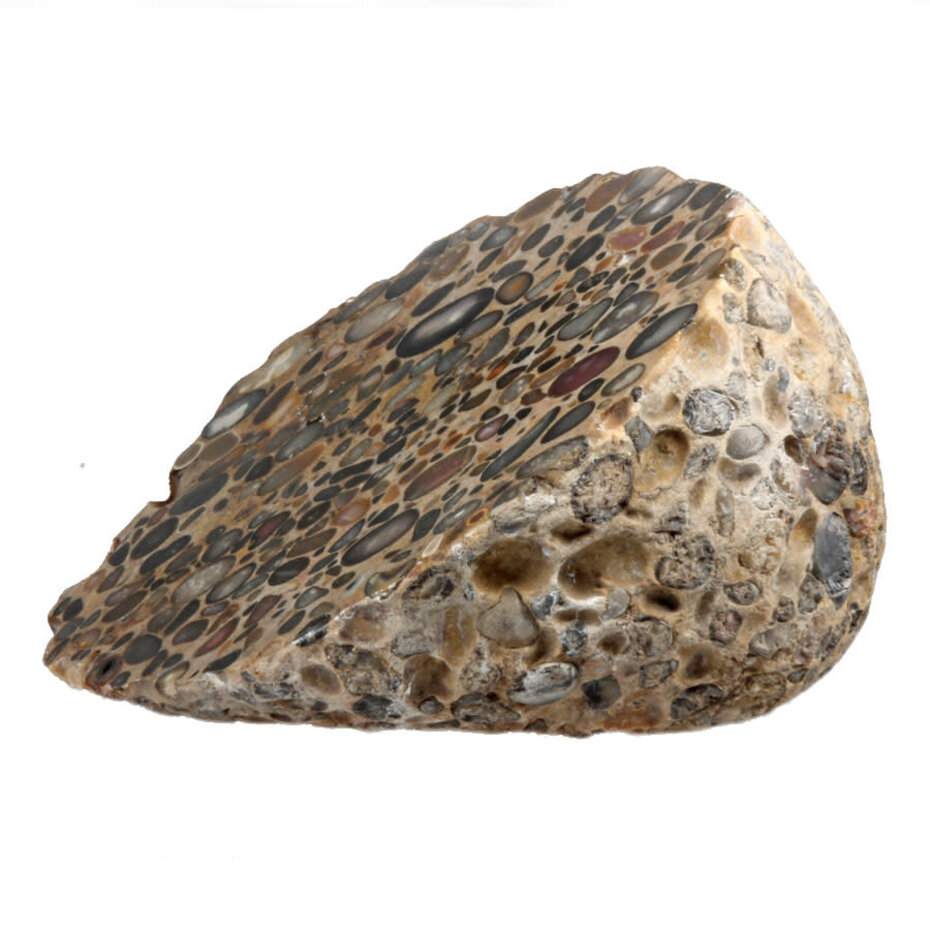 Conglomeraat jaspis half gepolijst 23 x 18 x 13 cm | 5750 gram ...