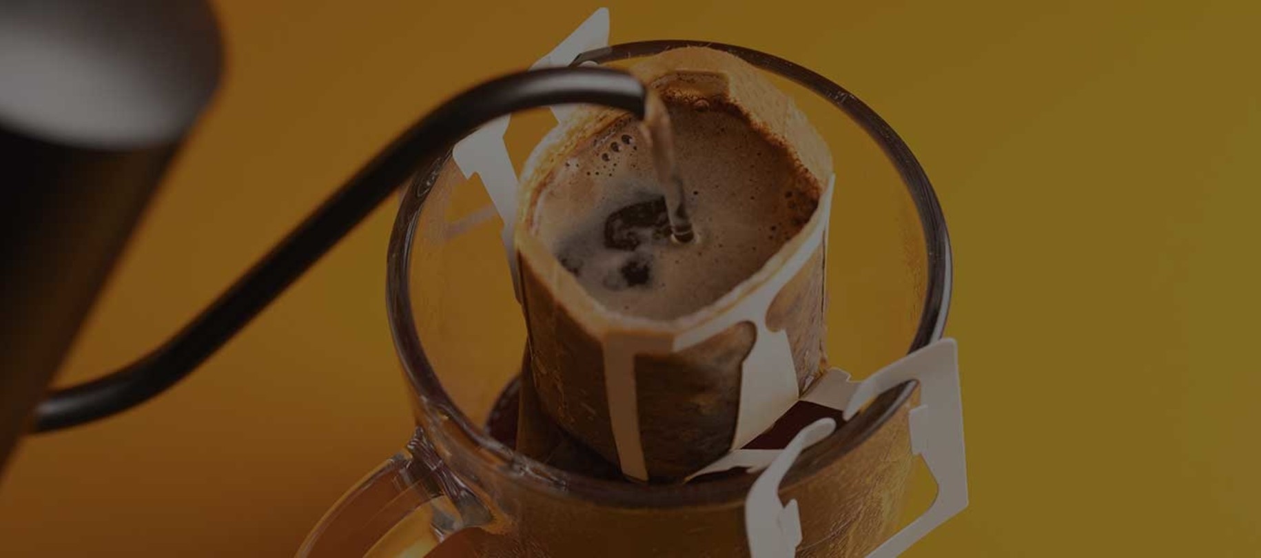 Catalog - Freshdrip Coffee