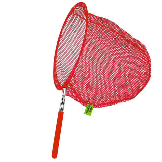 Vlindernet kopen? Visnet met uitschuifbare steel - De Speelgoedwinkel