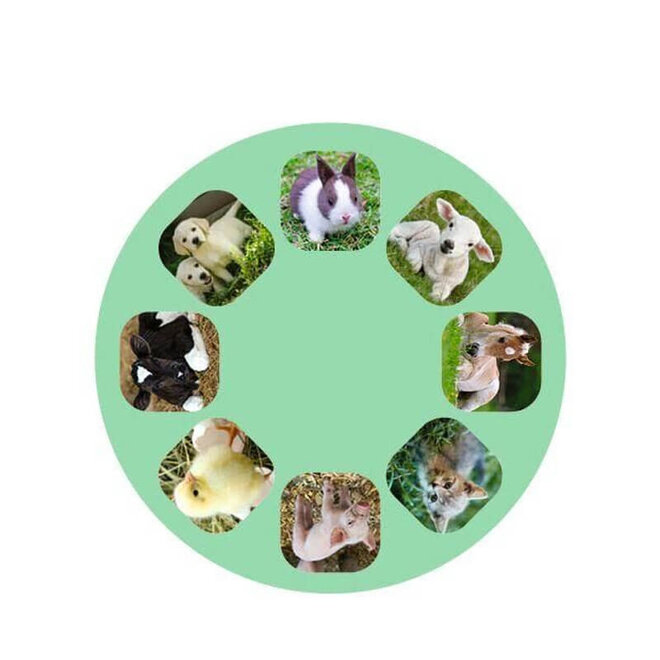 Diashow Projector Zaklamp Babydieren - De Speelgoedwinkel