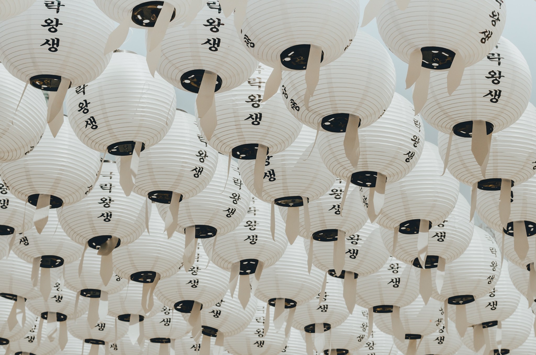 Chuseok: Korean Thanksgiving - Little Wonderland