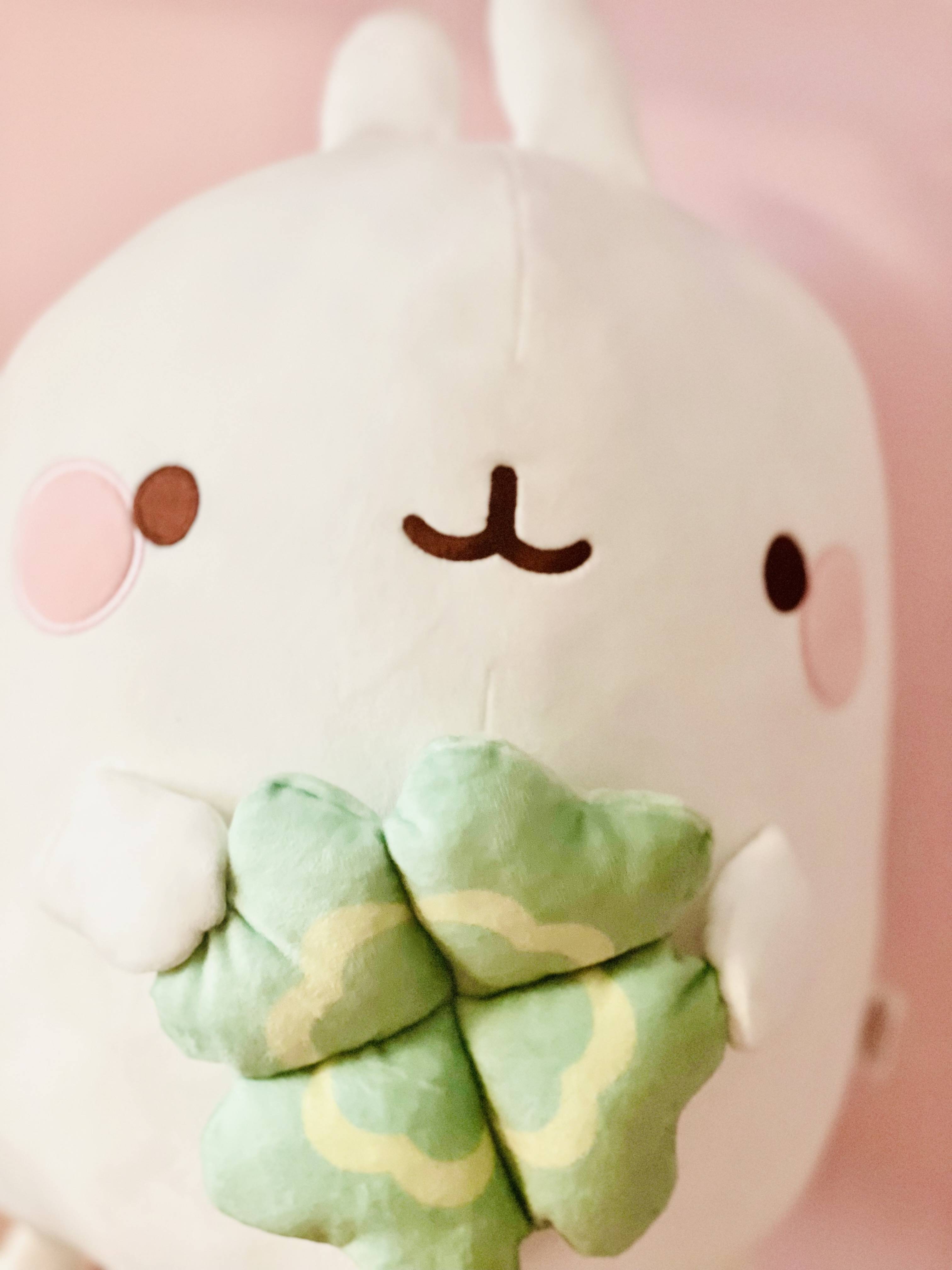 CuteStuff.nl is the best shop for the cutest kawaii gifts and lifestyle ...