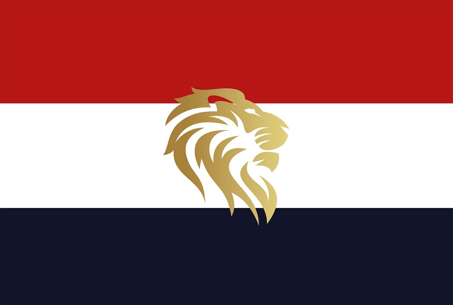 Outdoor sierkussen vlag Nederland, kies zelf wapen-leeuw-eigen logo ...