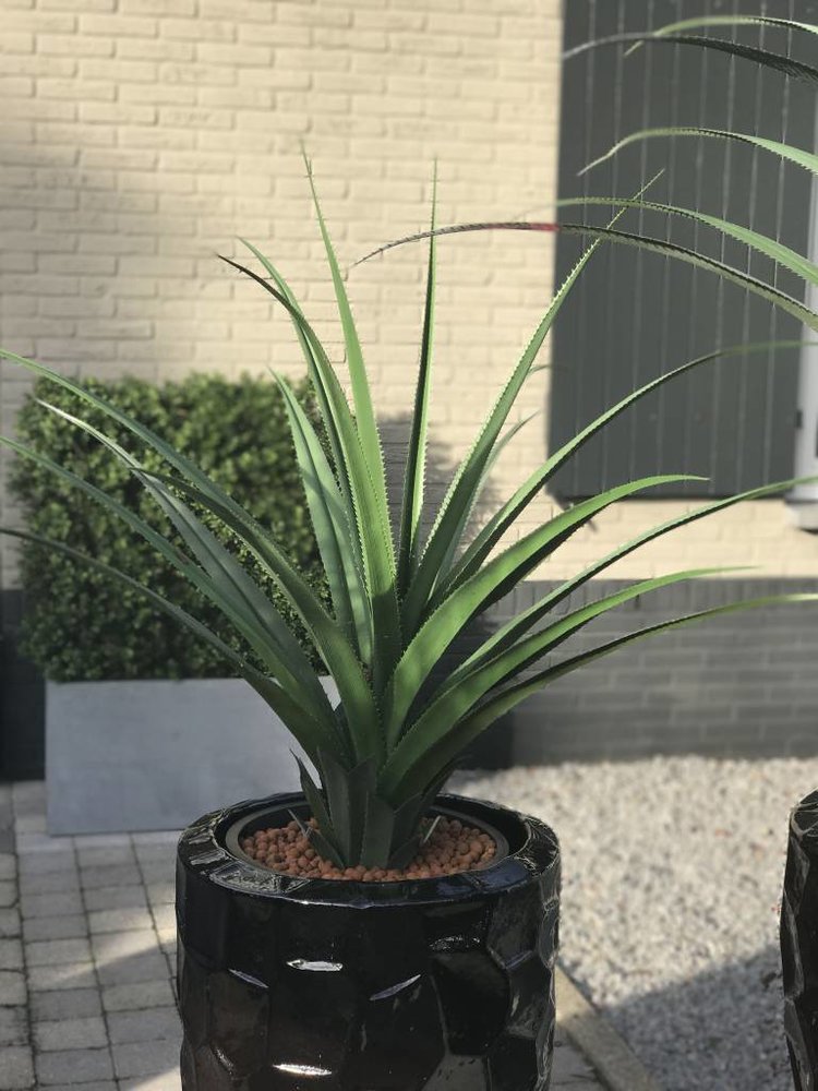 Artificial Design Plant | 8 year Colour Guarantee
