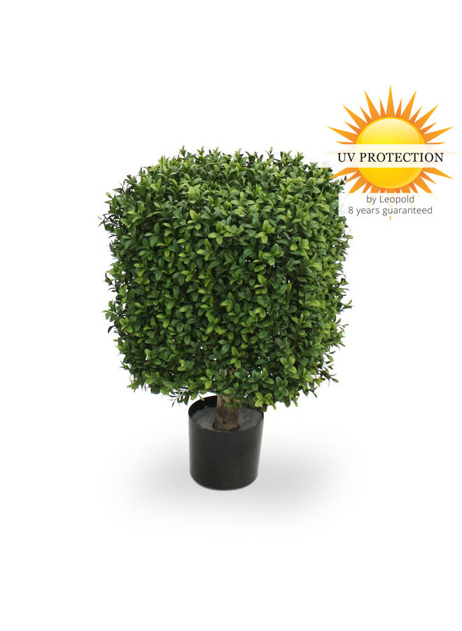 Artificial boxwood Outdoor -8-year colourwarranty by LeopoldFlora