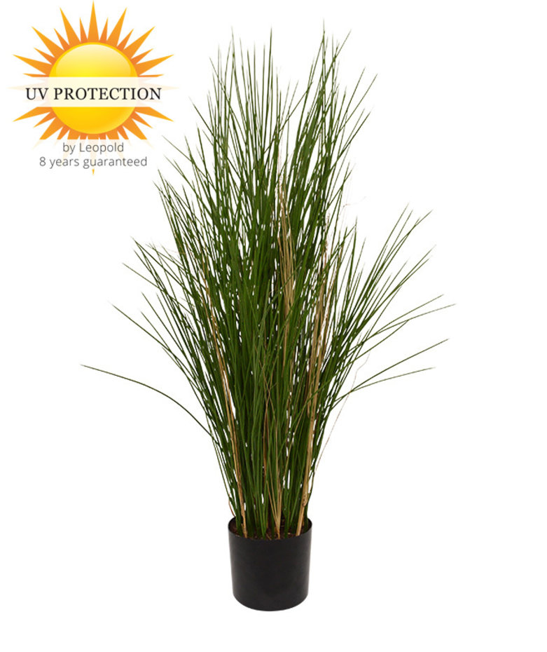 Tall artificial ornamental grass for outdoors | LeopoldFlora