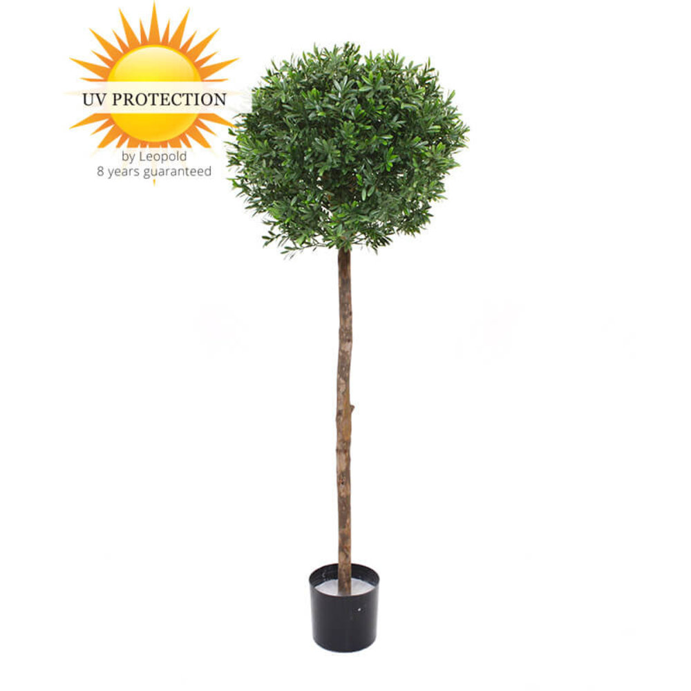 Artificial Ilex ball on trunk for Outdoors | 8-year Colour Guarantee