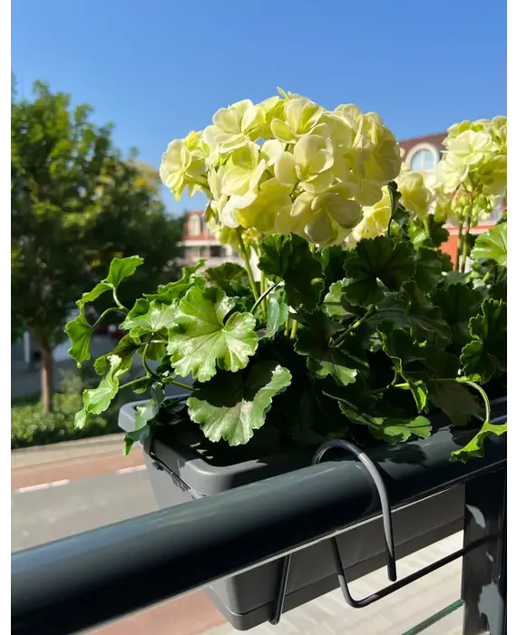 Outdoor Artificial plants - LeopoldFlora