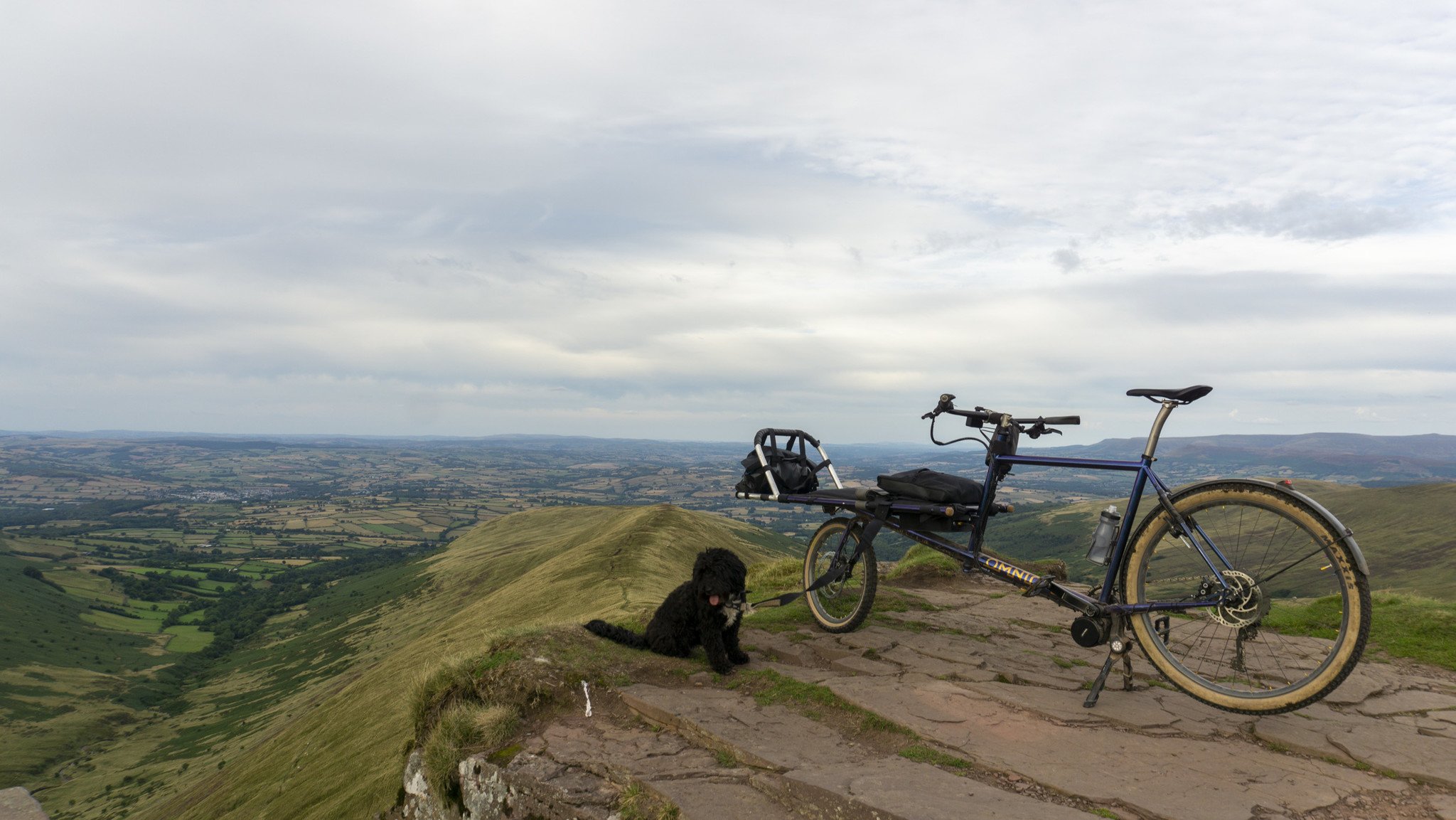 THE DOG CHARIOT - Paradise Cycles