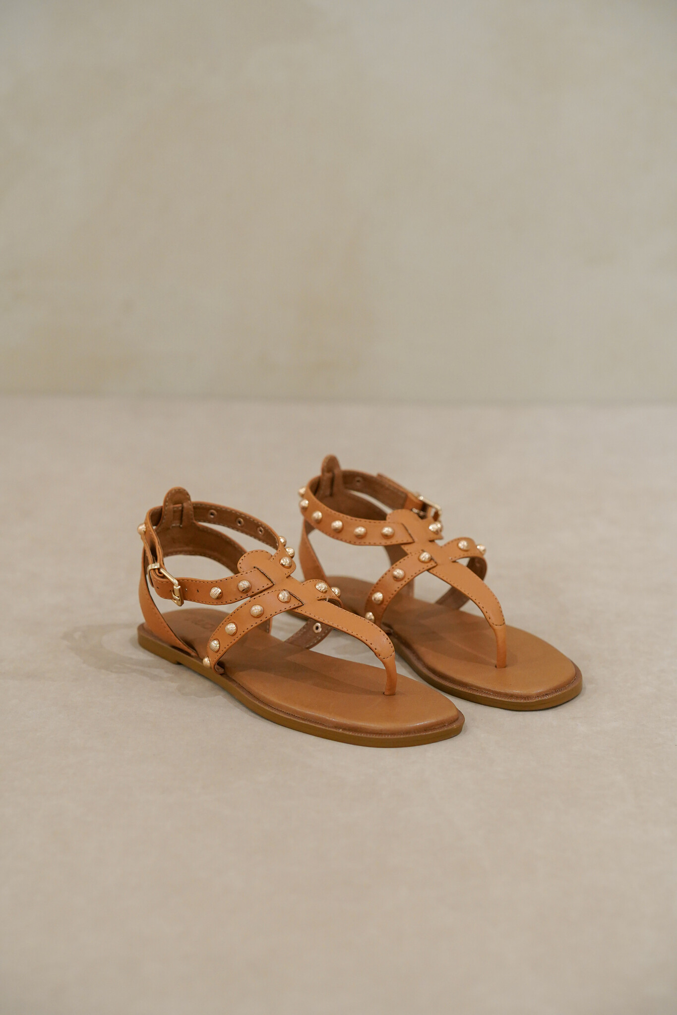 Baria Camel - Factory Store