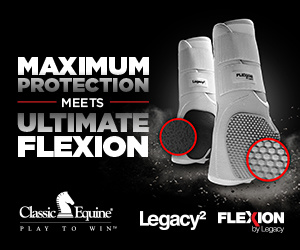Flexion Legacy Front - EURO-HORSE western riding supplies