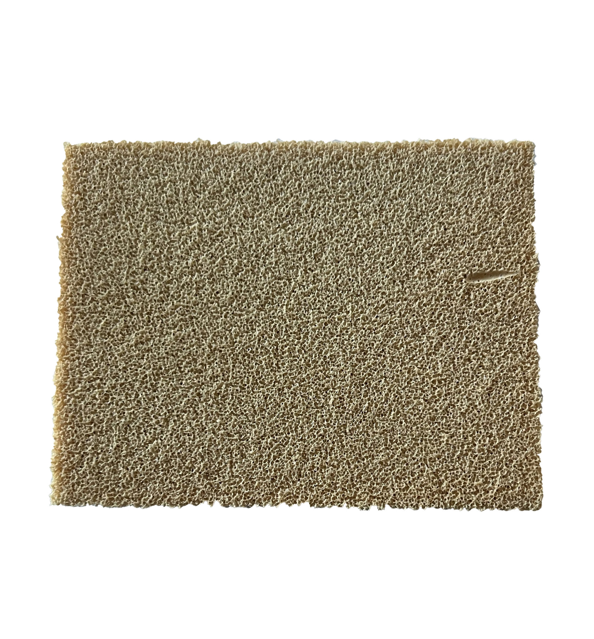 Dry Cleaning Pad Sponge - EURO-HORSE western riding supplies