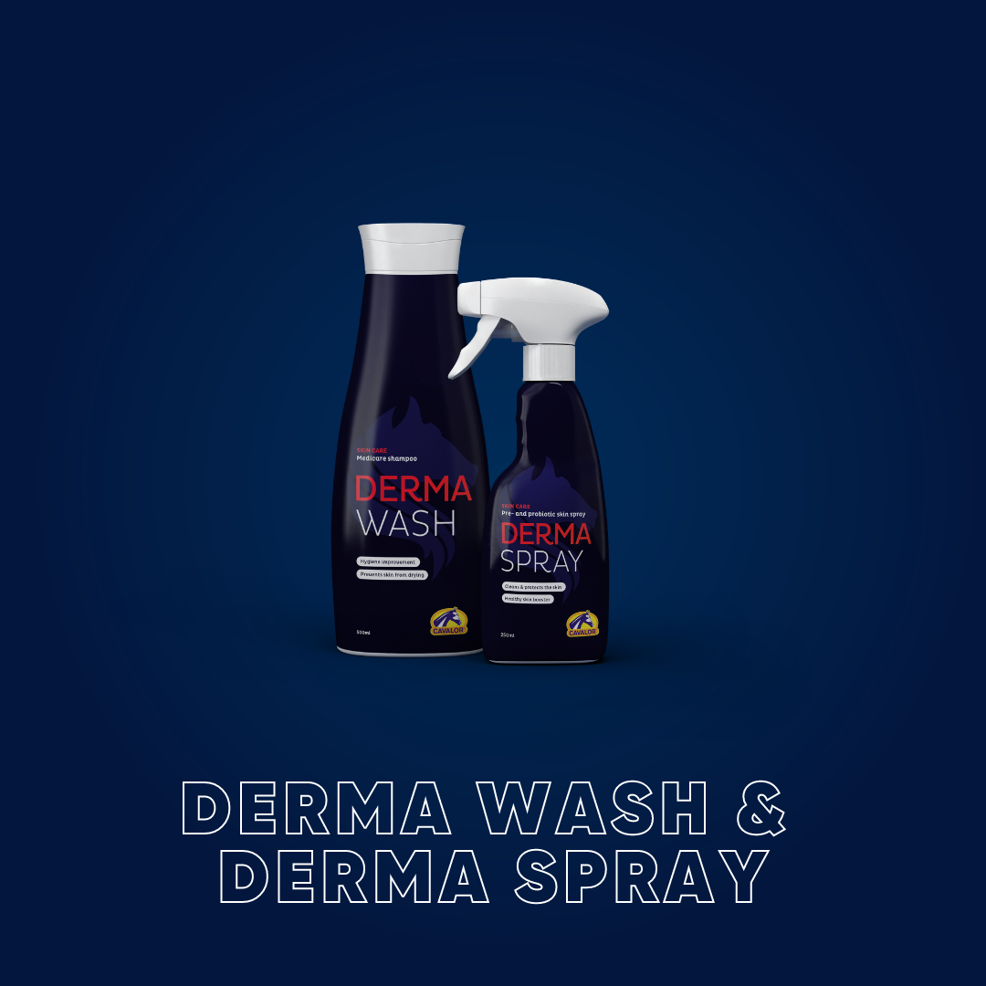 Derma Spray - EURO-HORSE western riding supplies
