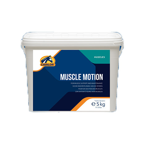 Muscle Motion - EURO-HORSE western riding supplies