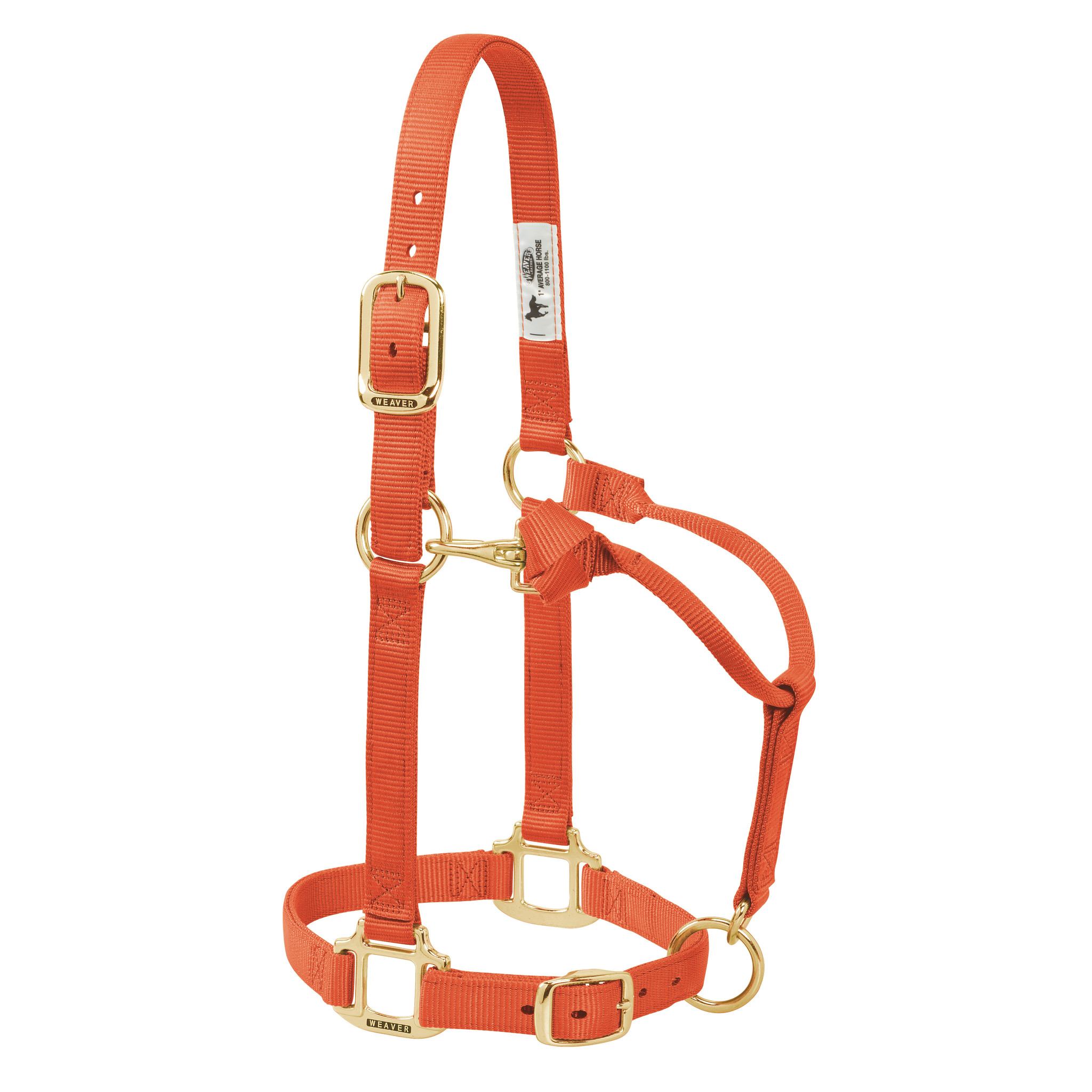 Halter Weaver Small - EURO-HORSE western riding supplies