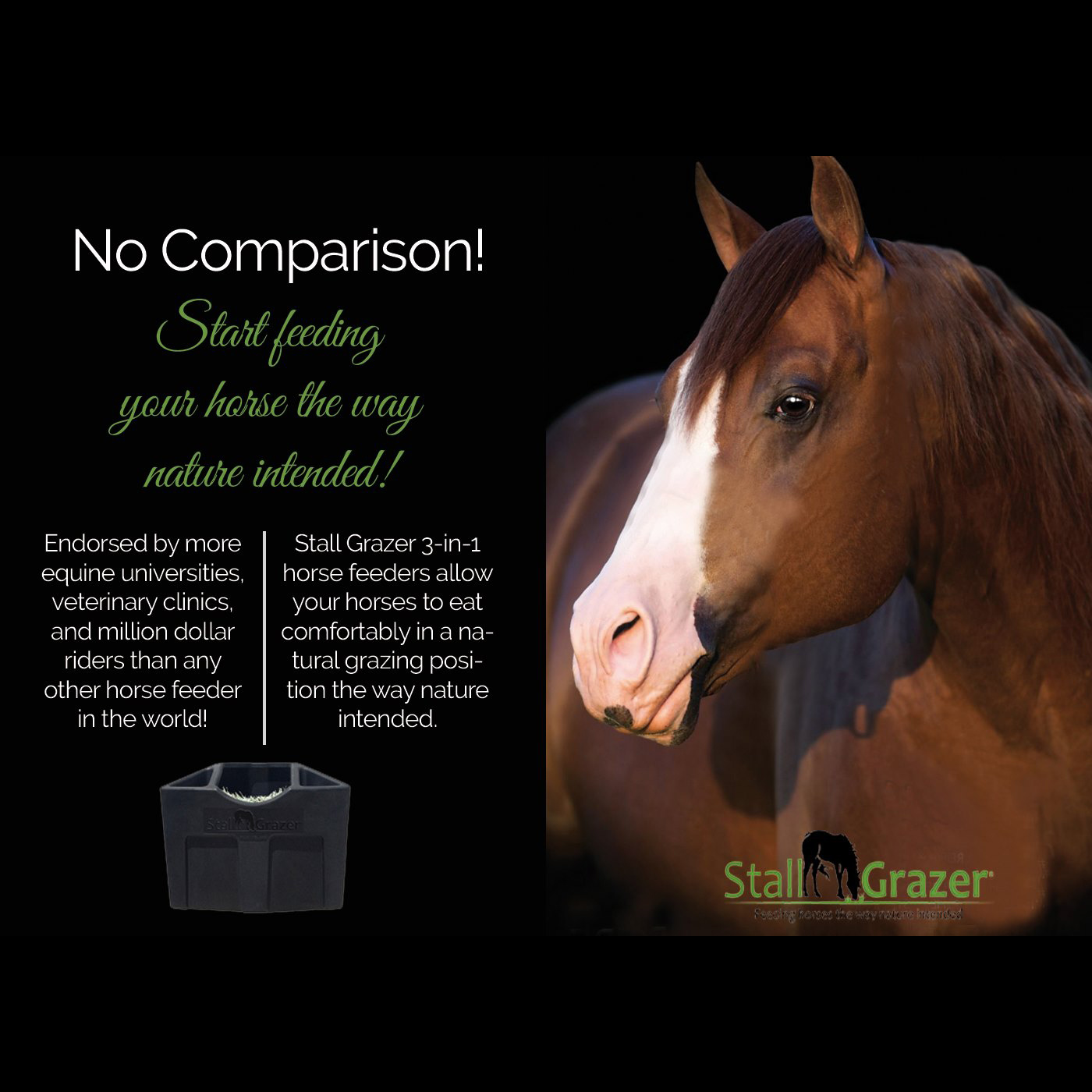 3-in-1 Junior Cube Feeder - EURO-HORSE western riding supplies