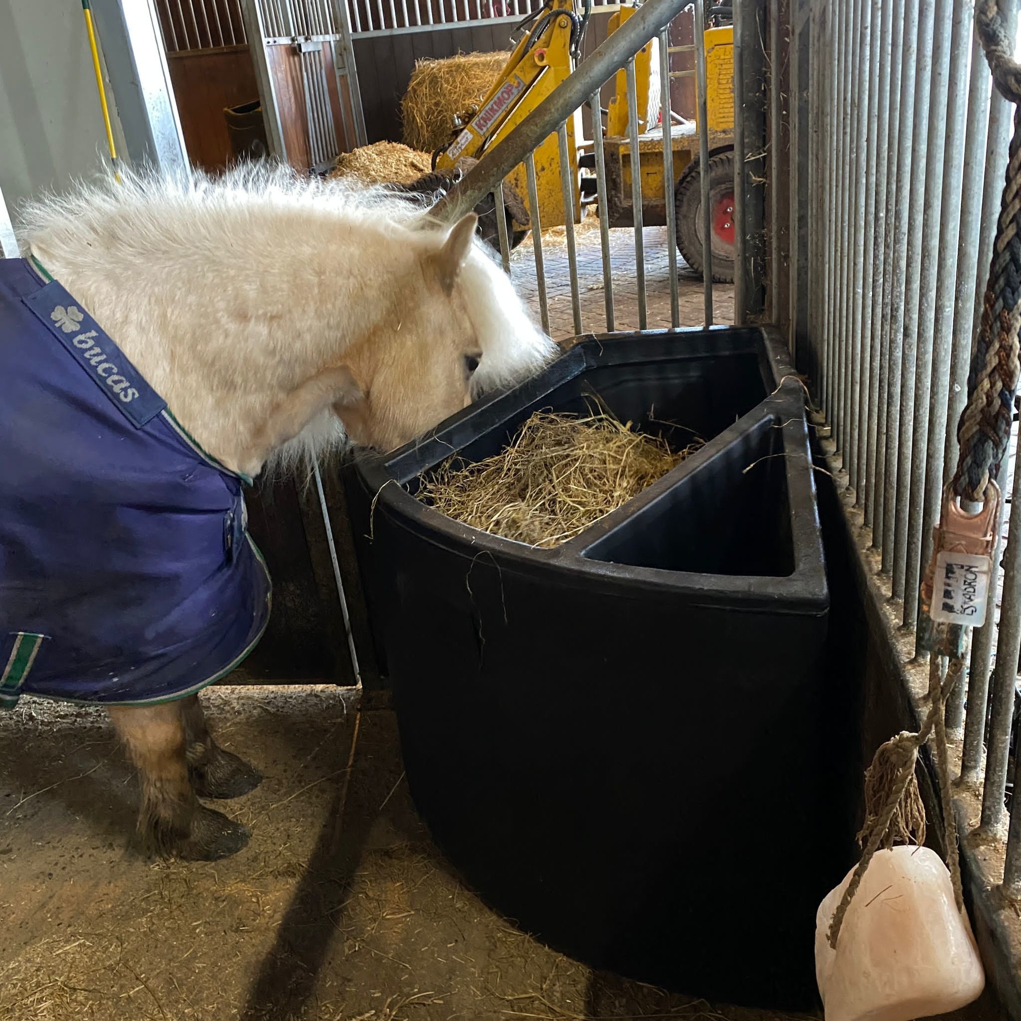 3-in-1 Junior Cube Feeder - EURO-HORSE western riding supplies