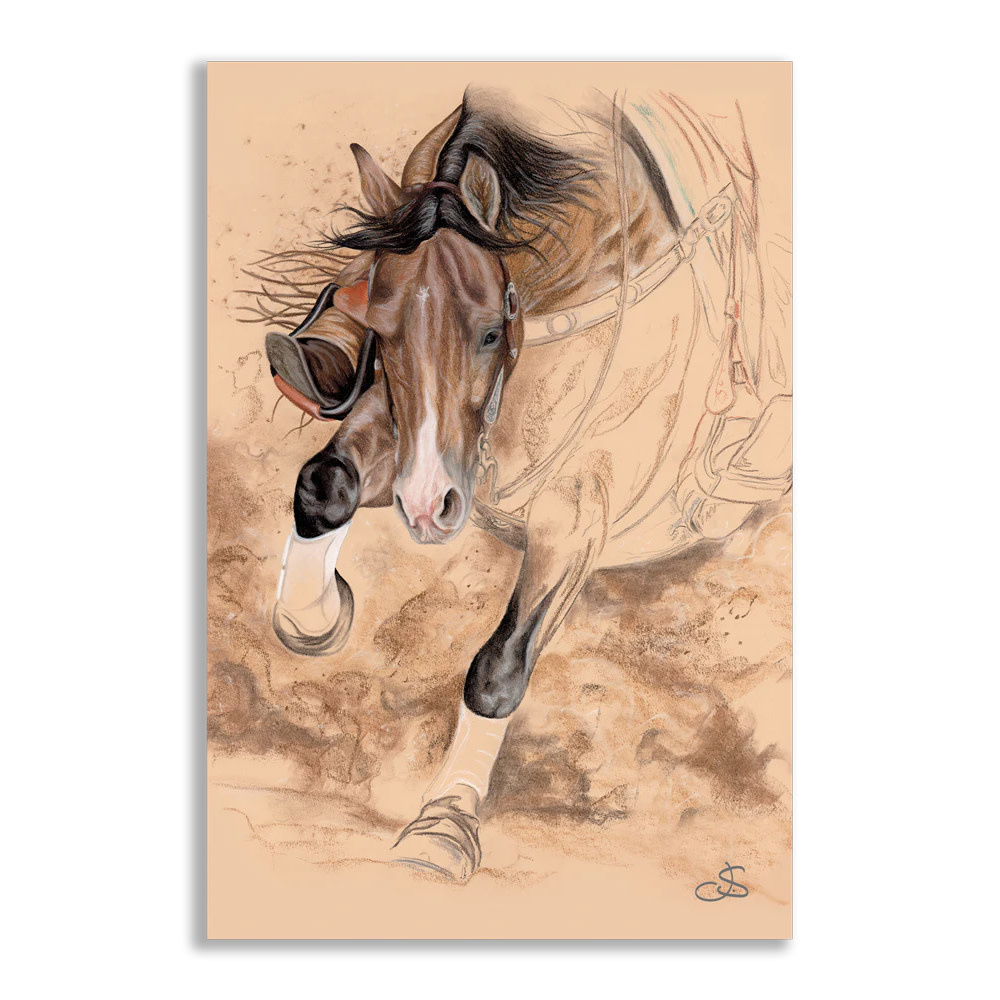 Postcard - EURO-HORSE western riding supplies