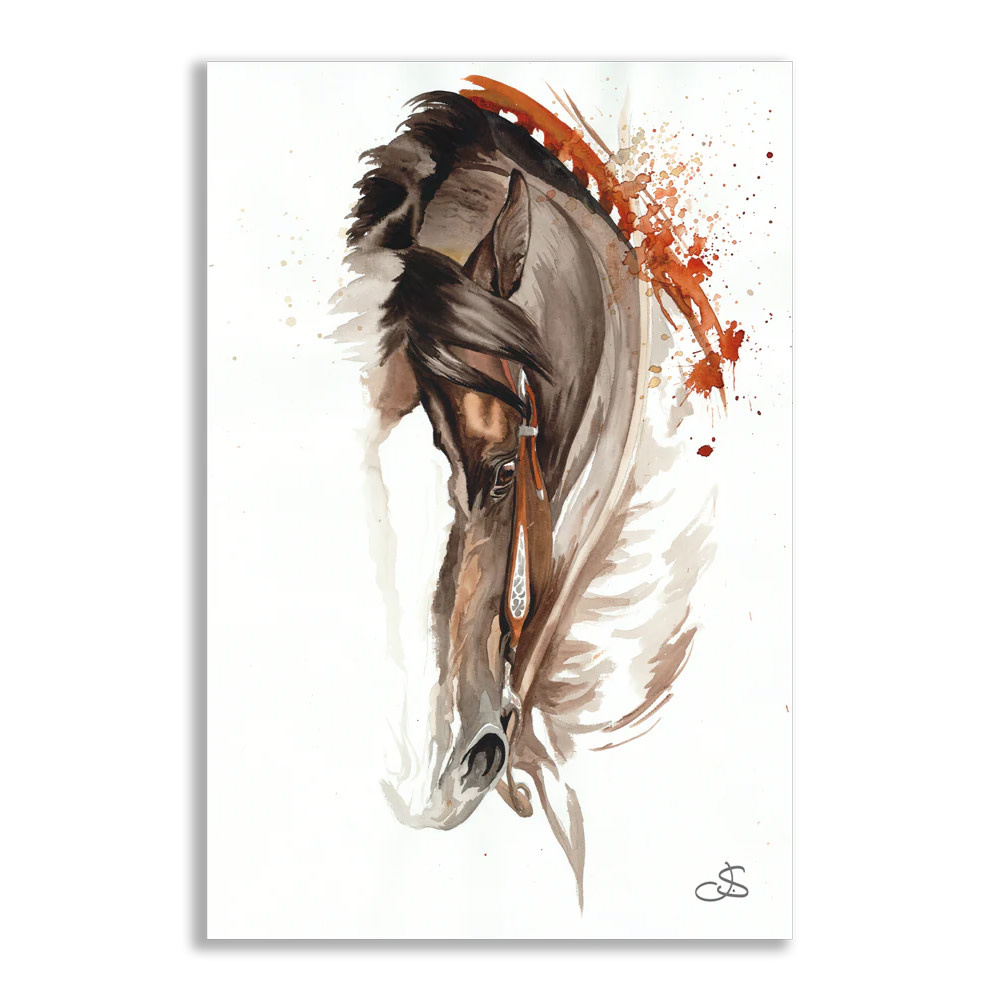 Postcard - EURO-HORSE western riding supplies