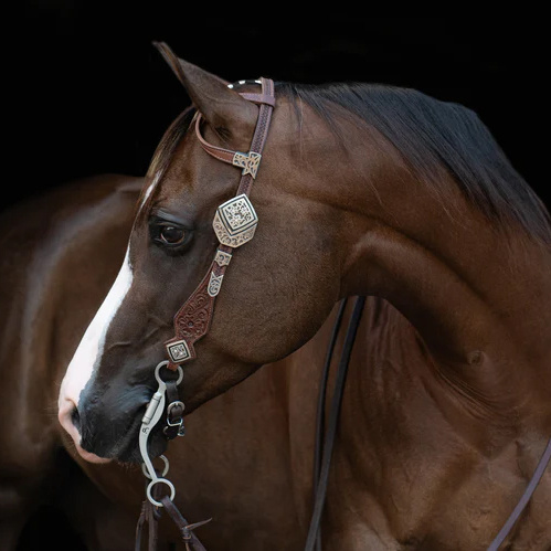 Green Line High Port - Euro-horse western riding supplies